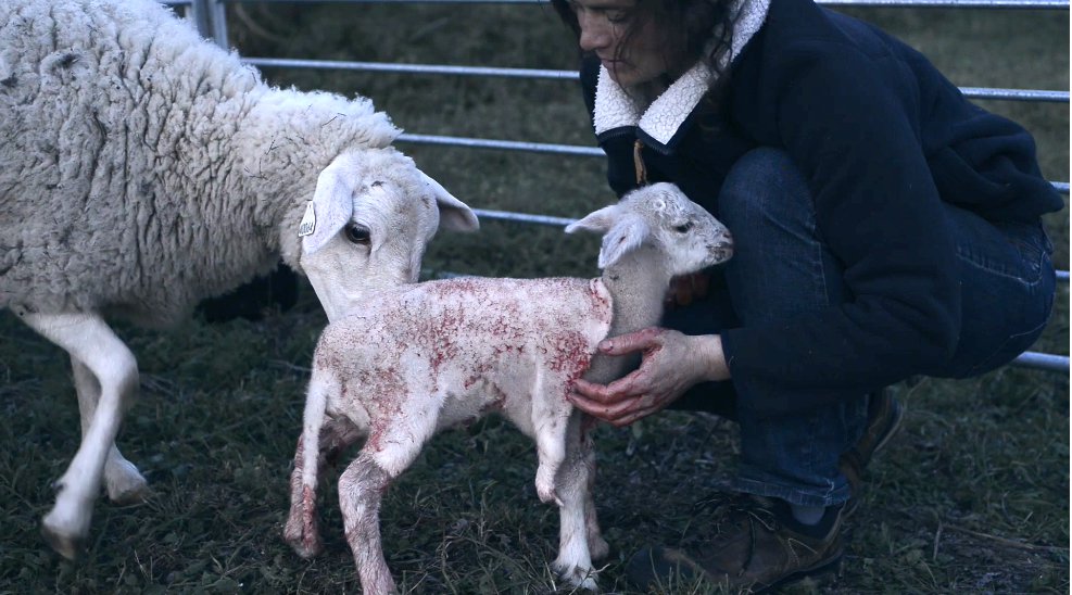 Nous la mangerons c'est la moindre des choses - Elsa Maury - KuB